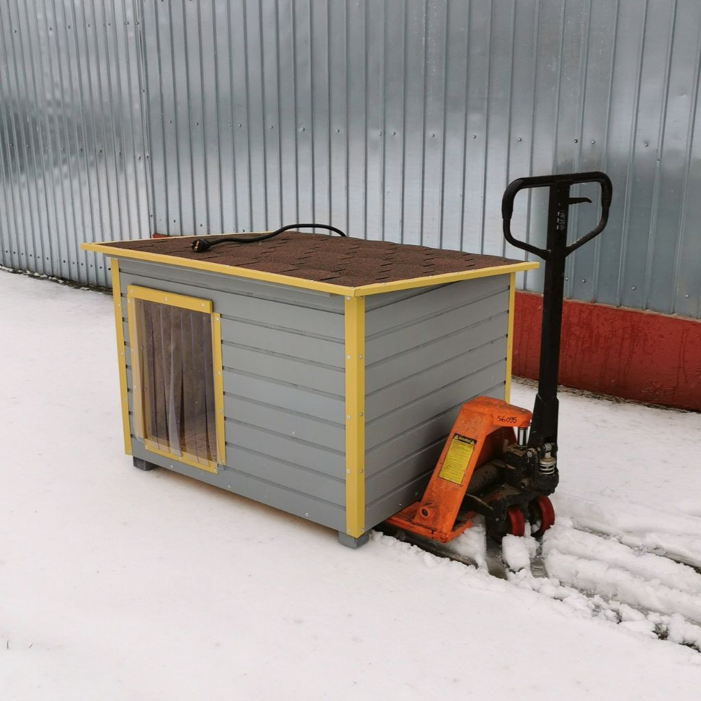 Cusca de caine izolata a lui Reno