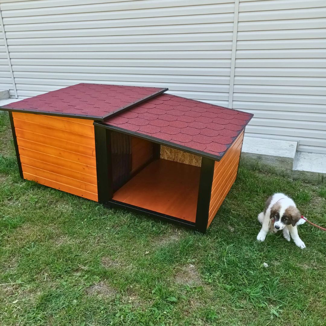 Cușcă Câine Ciobanesc Cu Terasă Acoperită și Închisă Breaza