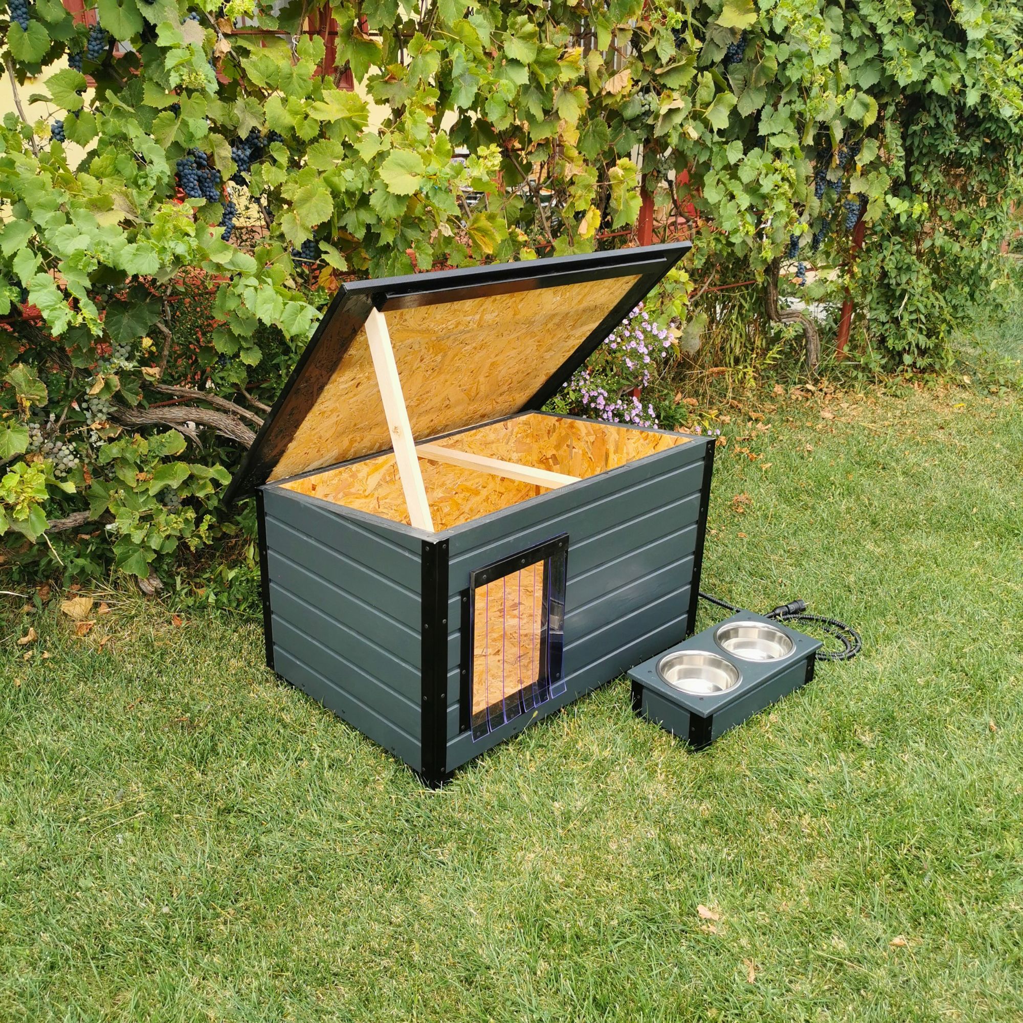 Blog :: Galerie Produse :: Custi de Caini :: Cusca Caine Izolata cu ...